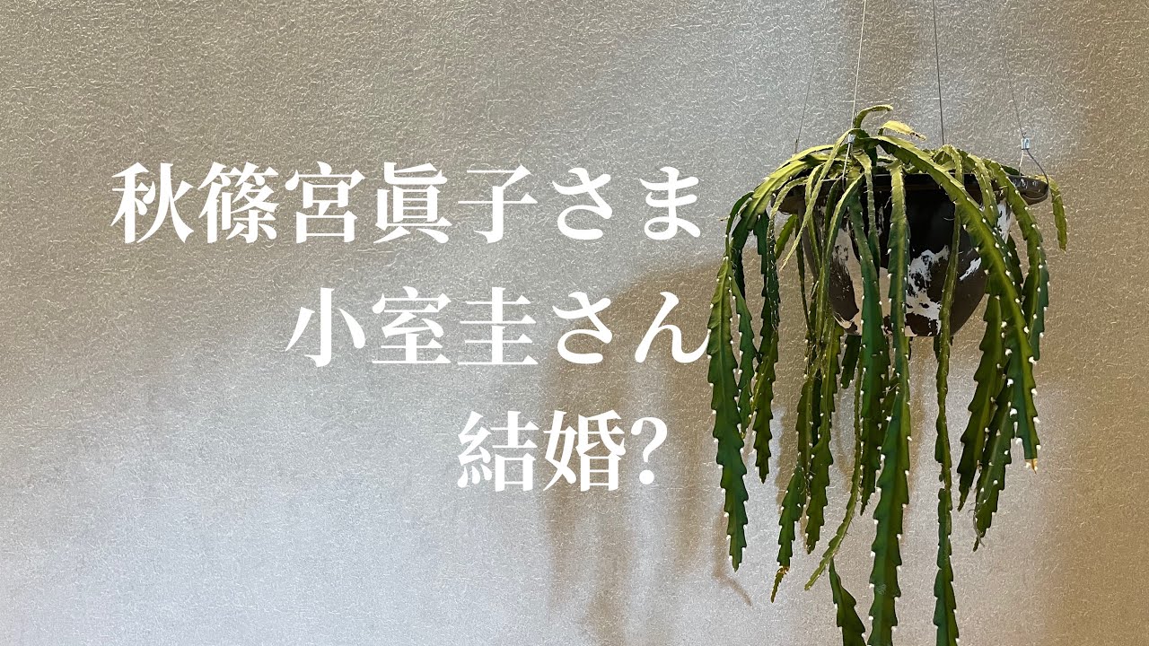 【四柱推命】結婚するの？大運が変わったら運命の扉が開いた？ - Lifeee占い動画